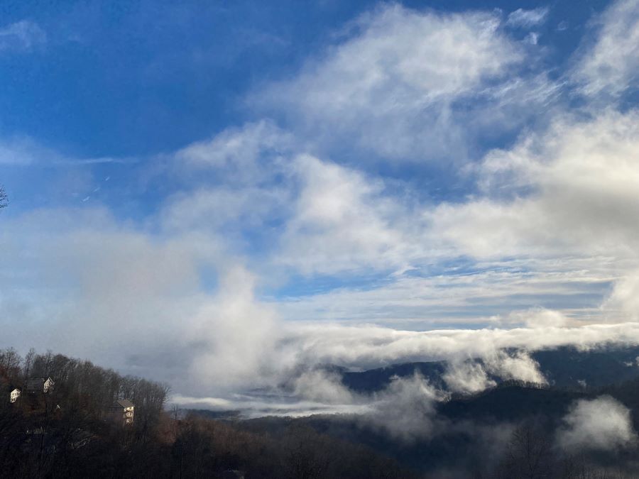 Opening and Closing the Gate Michael Mamas