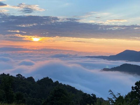 The Ancient Secret Fundamental Blueprint of Life and Existence Michael ...