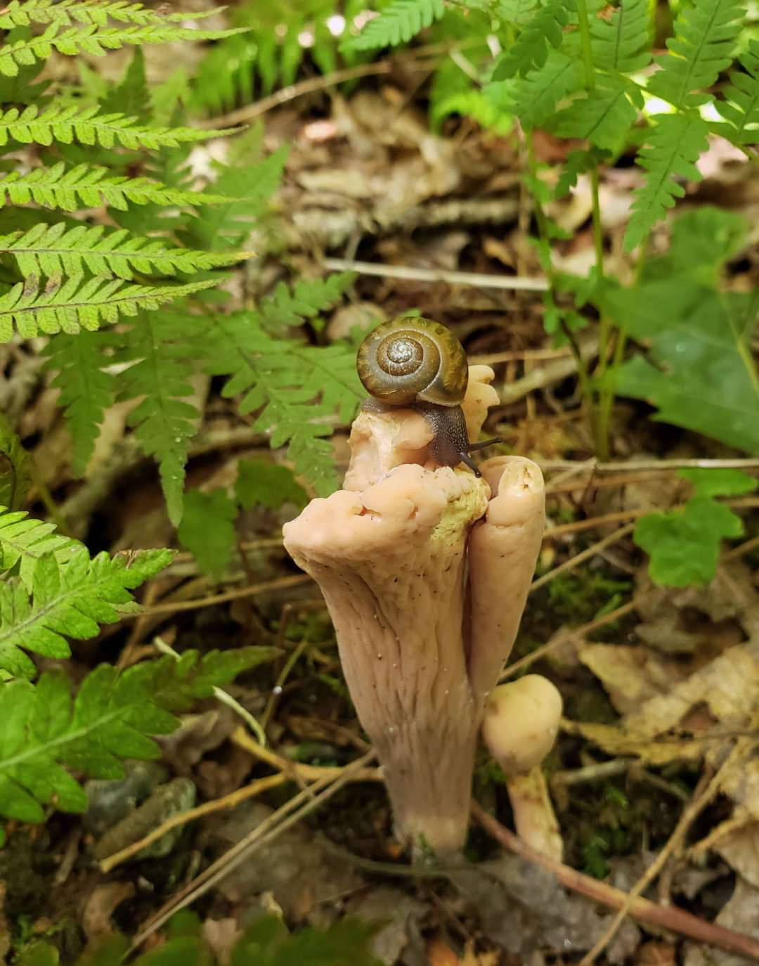 Limitless Simultaneous Thoughts | Michael Mamas Blog